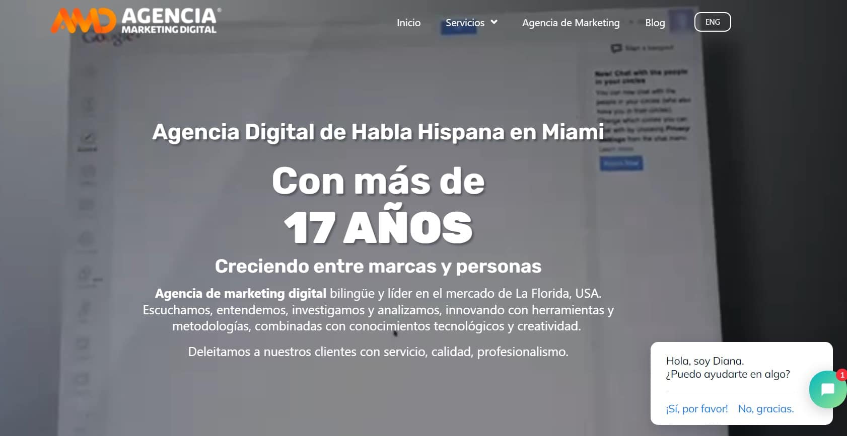Las 6 Mejores Agencias De Branding En Miami